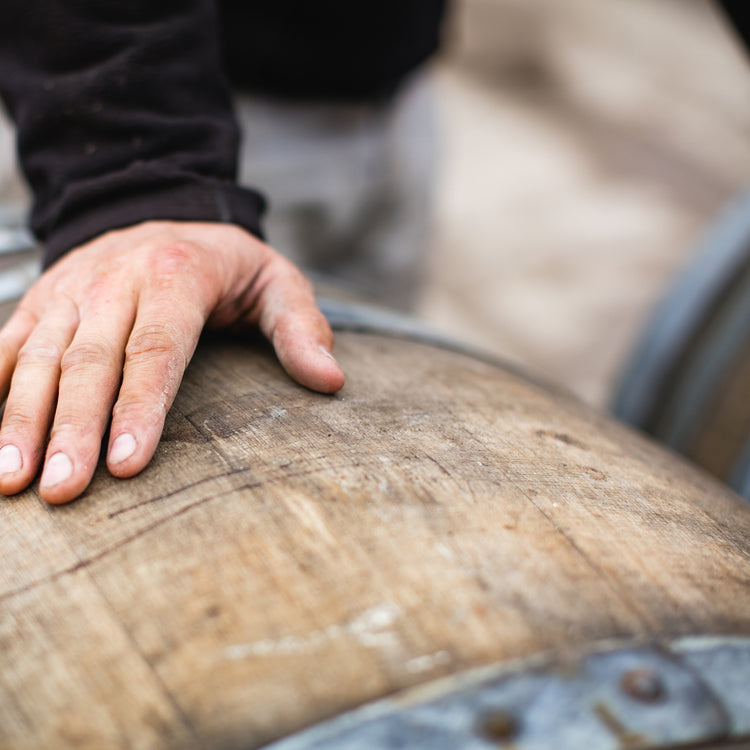 Bubbles & Bites | Sparkling Wine Tasting with Light Bites – Benjamin Bridge