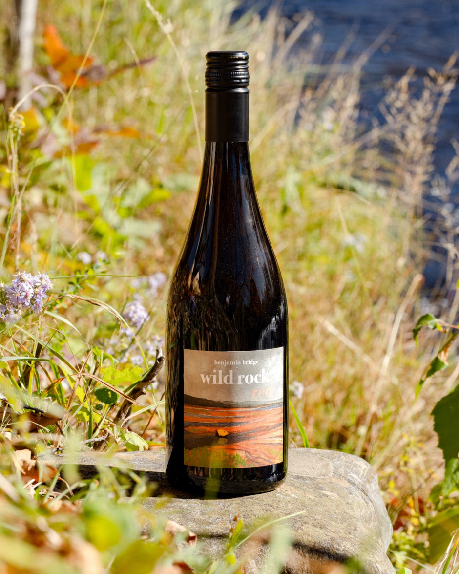 Shop Collection | Our Wines | Benjamin Bridge