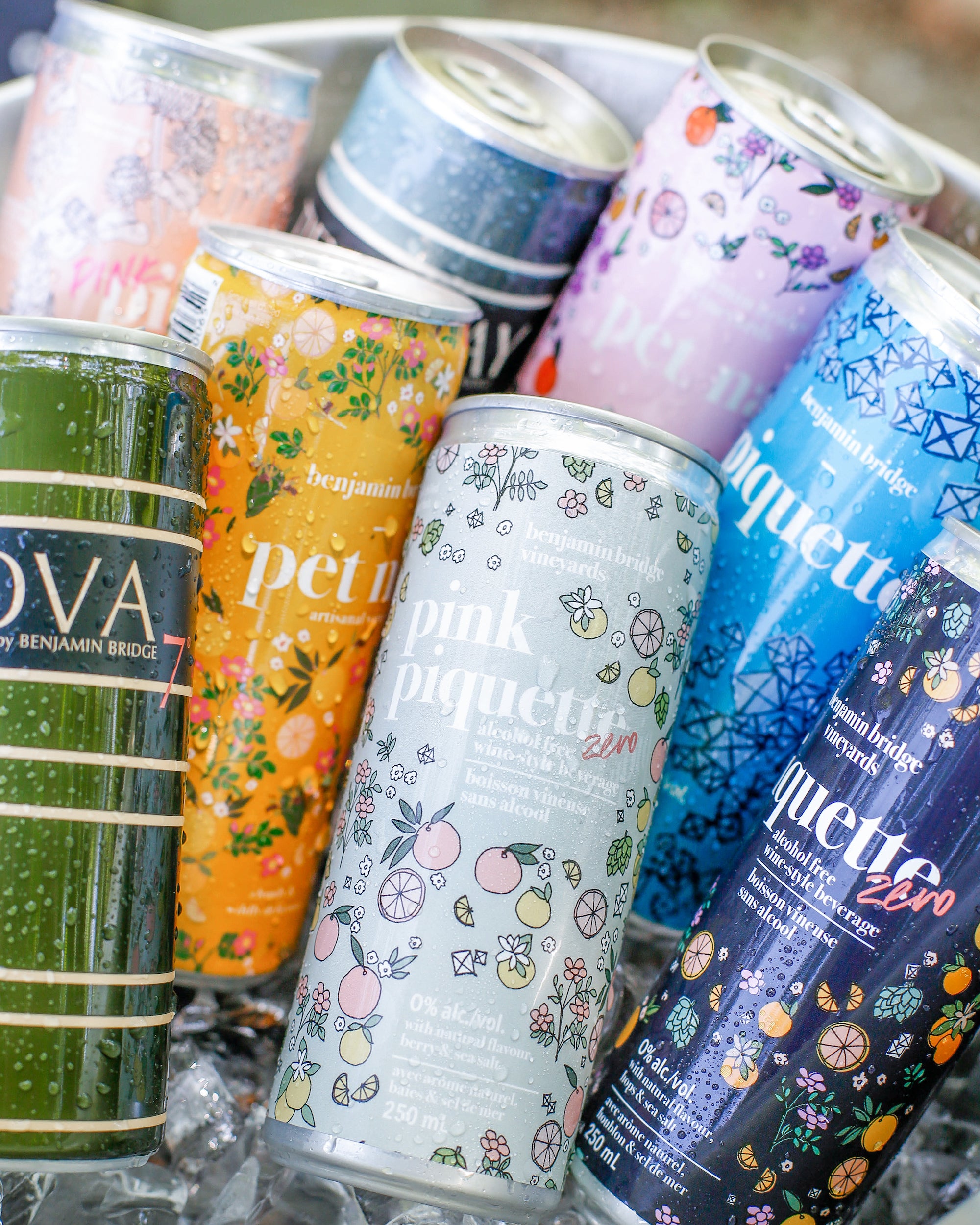 Shop Collection | Our Wines | Benjamin Bridge