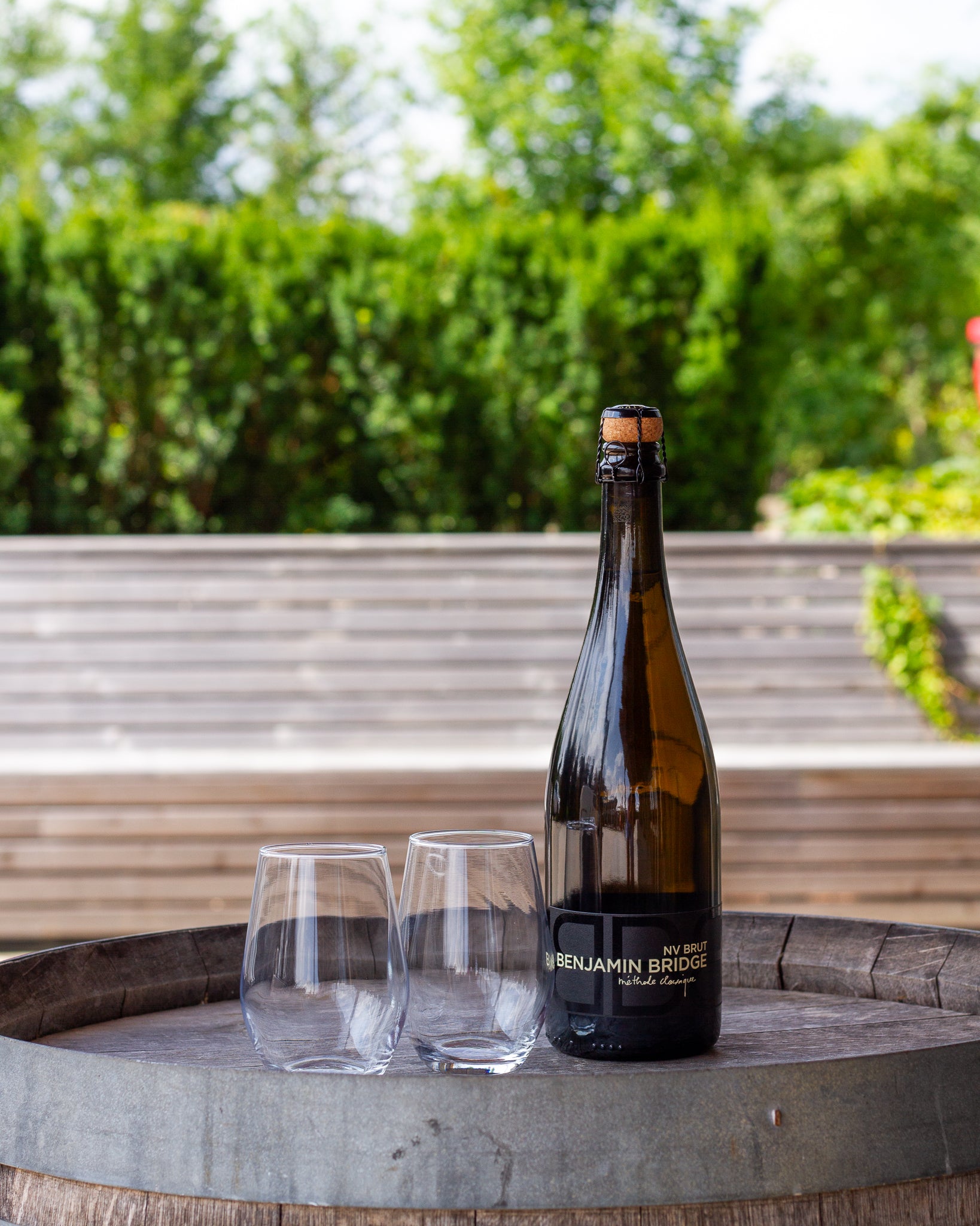 Celebration Gift Pack | Benjamin Bridge