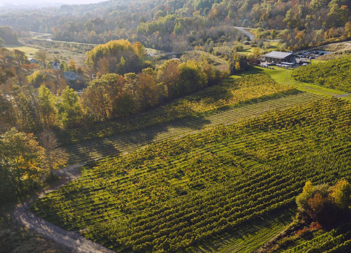 Visit Our Winery | Benjamin Bridge