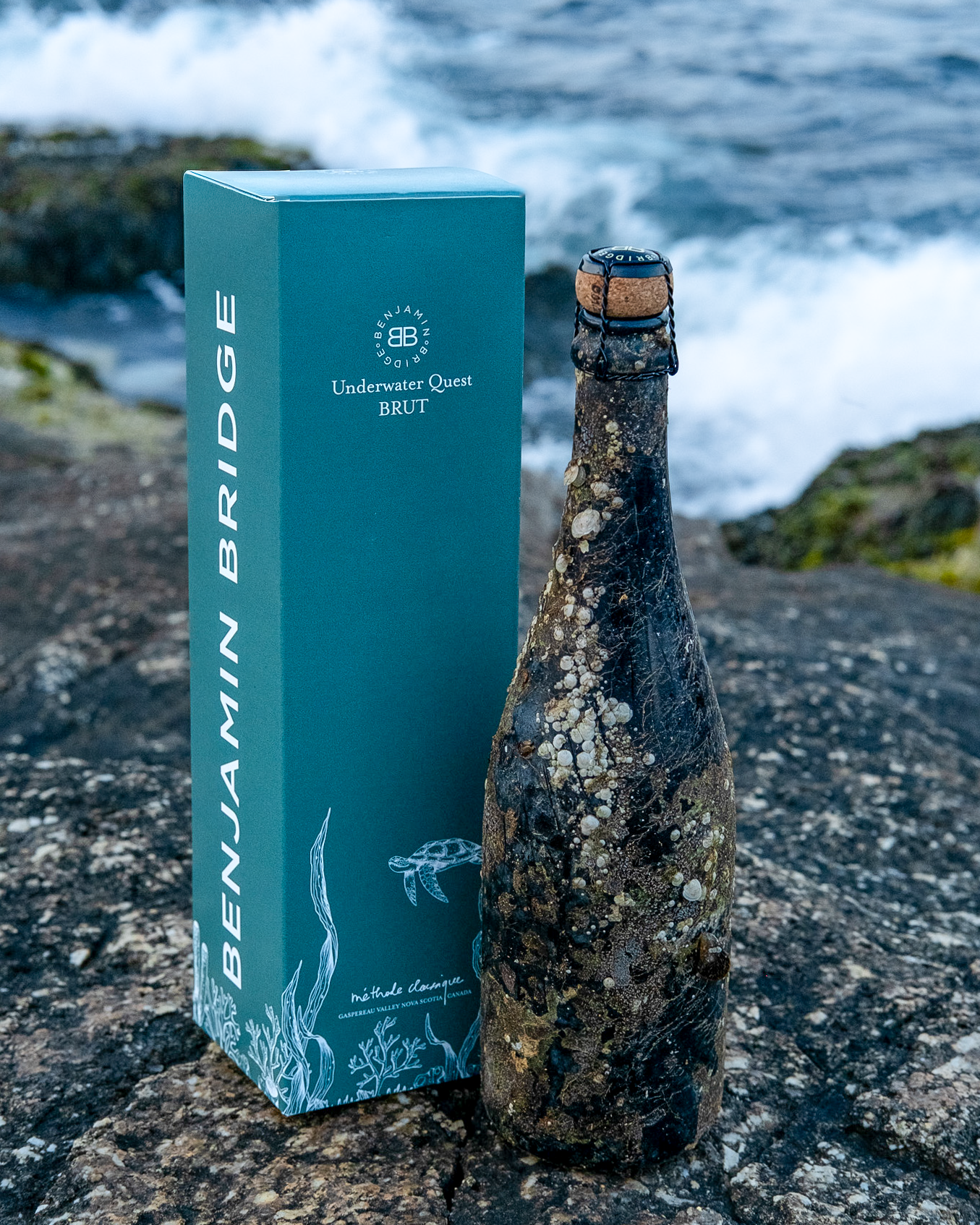 Benjamin Bridge | Nova Scotia's Sparkling Wine House
