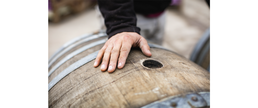 Our Story | Benjamin Bridge