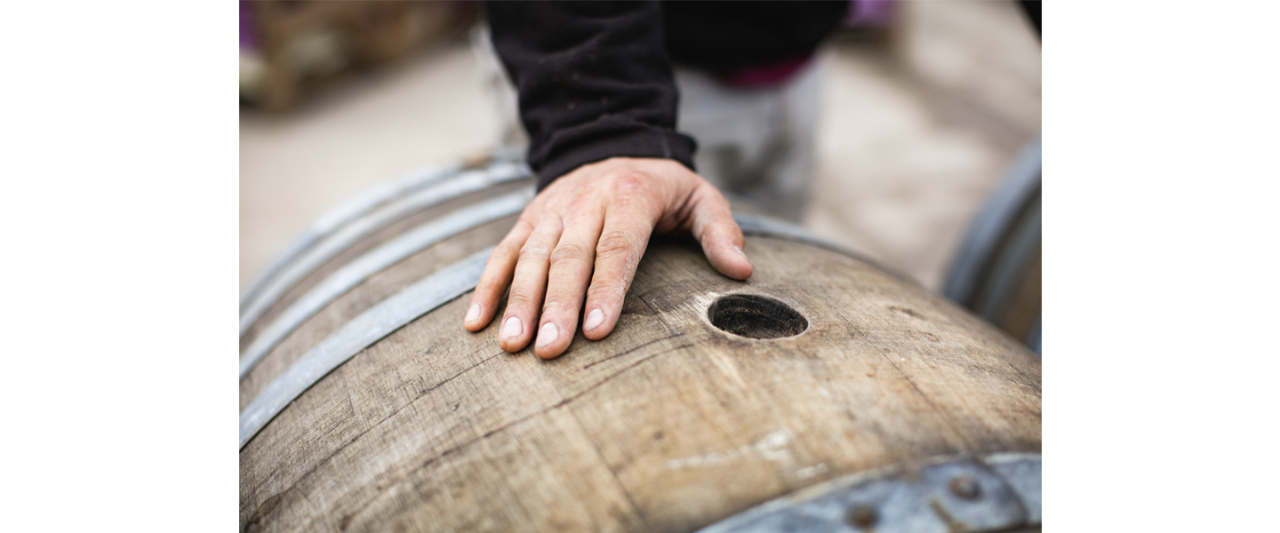 Our Story | Benjamin Bridge