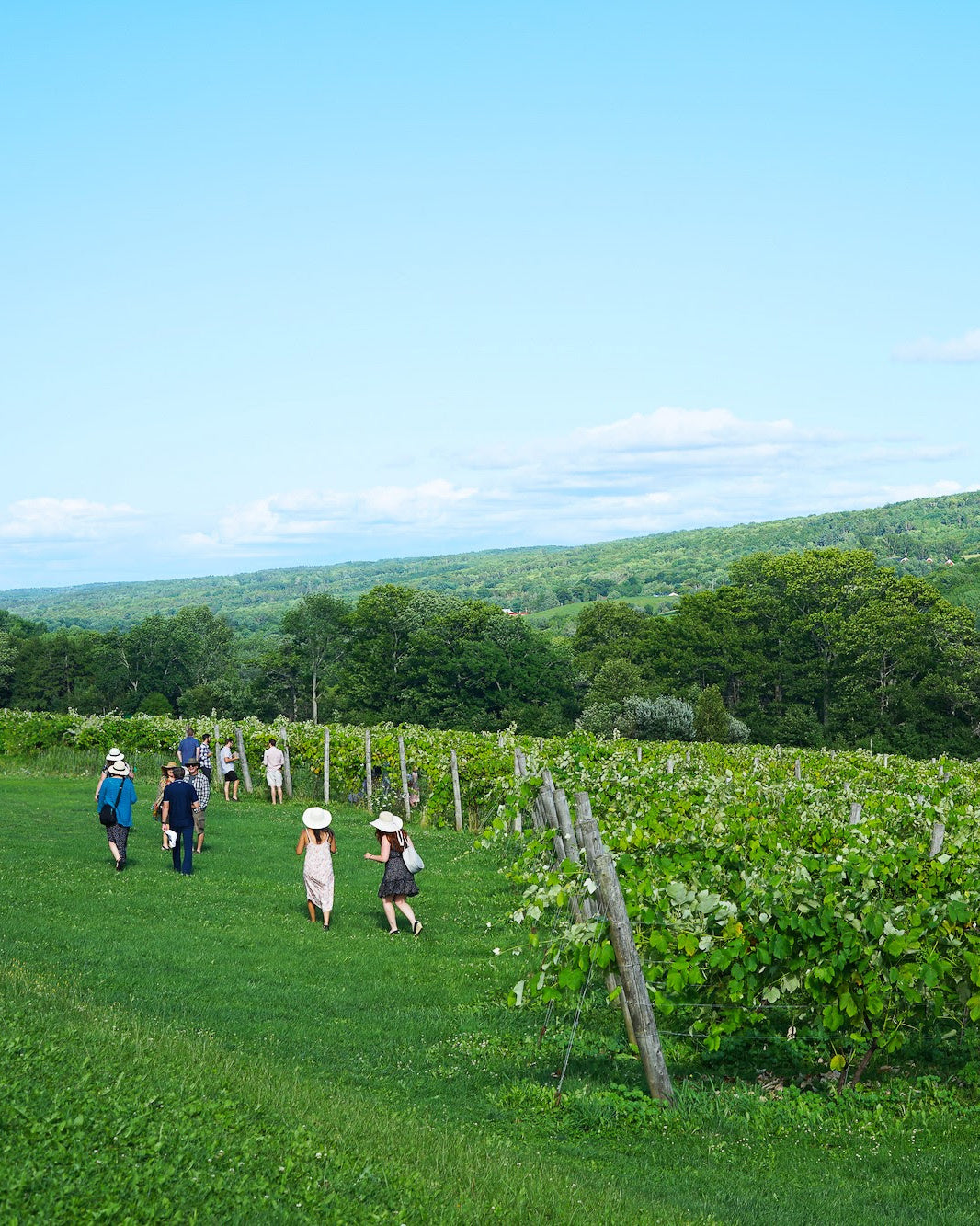 Our Tasting Experiences – Benjamin Bridge