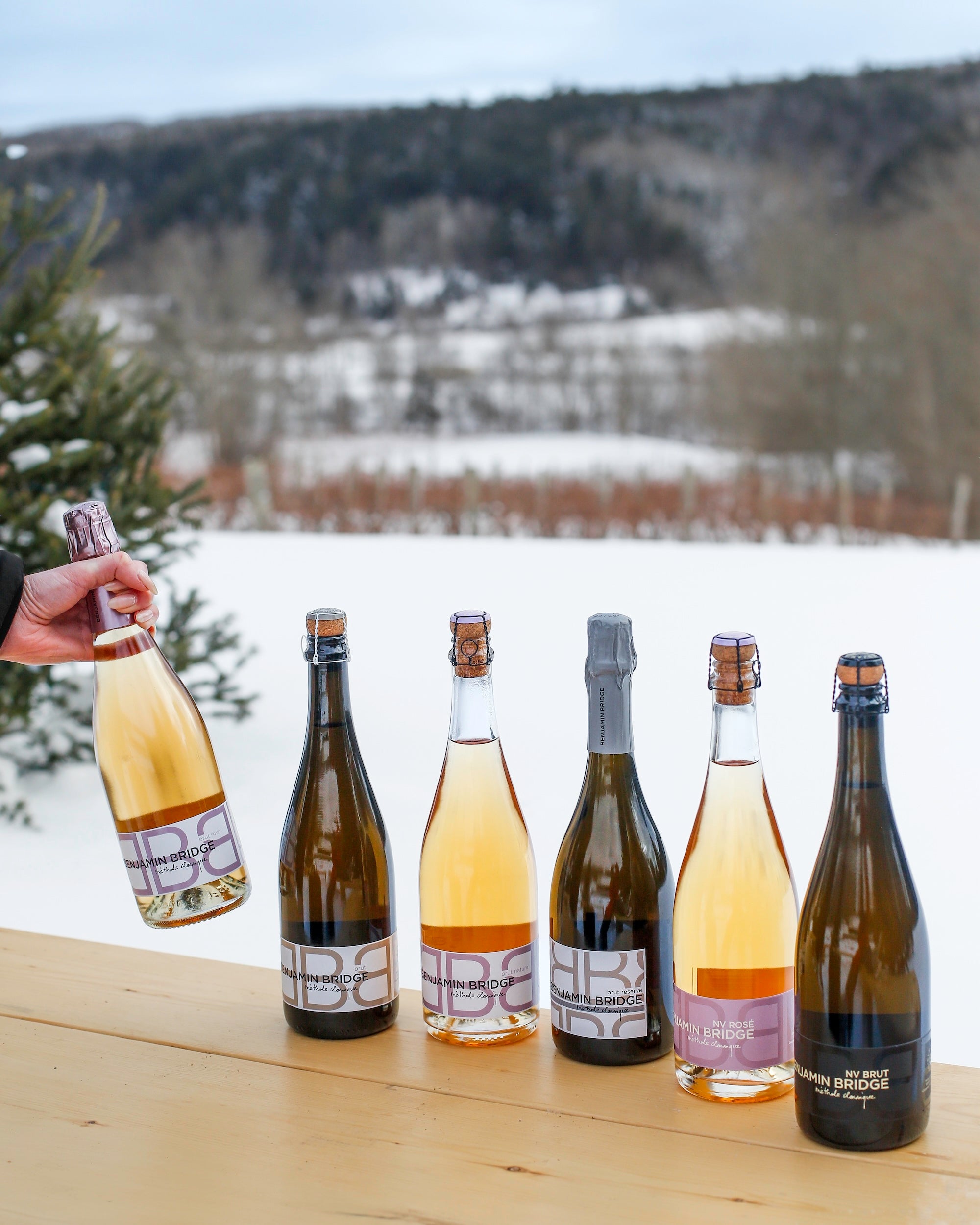 Benjamin Bridge | Nova Scotia's Sparkling Wine House
