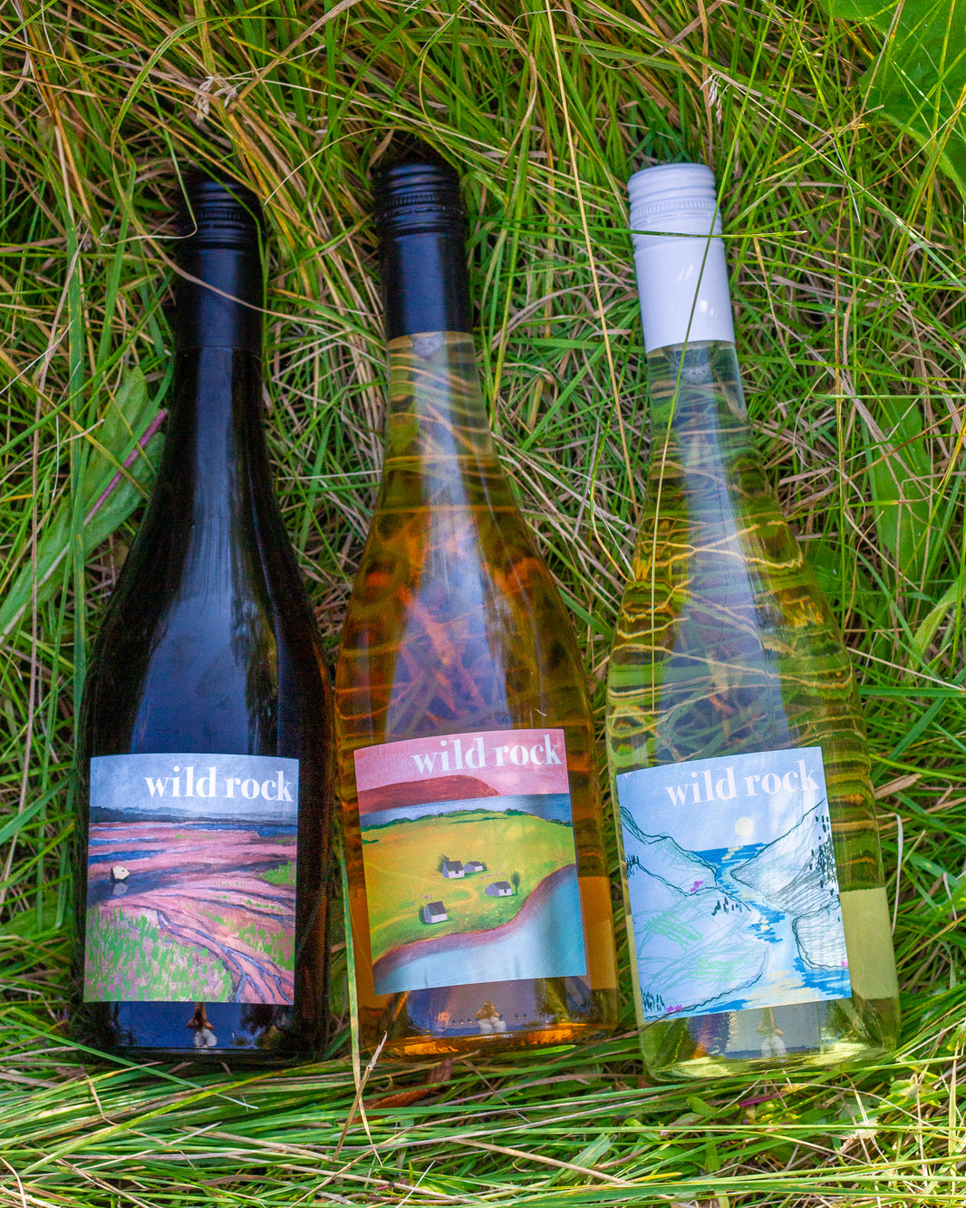 Benjamin Bridge | Nova Scotia's Sparkling Wine House