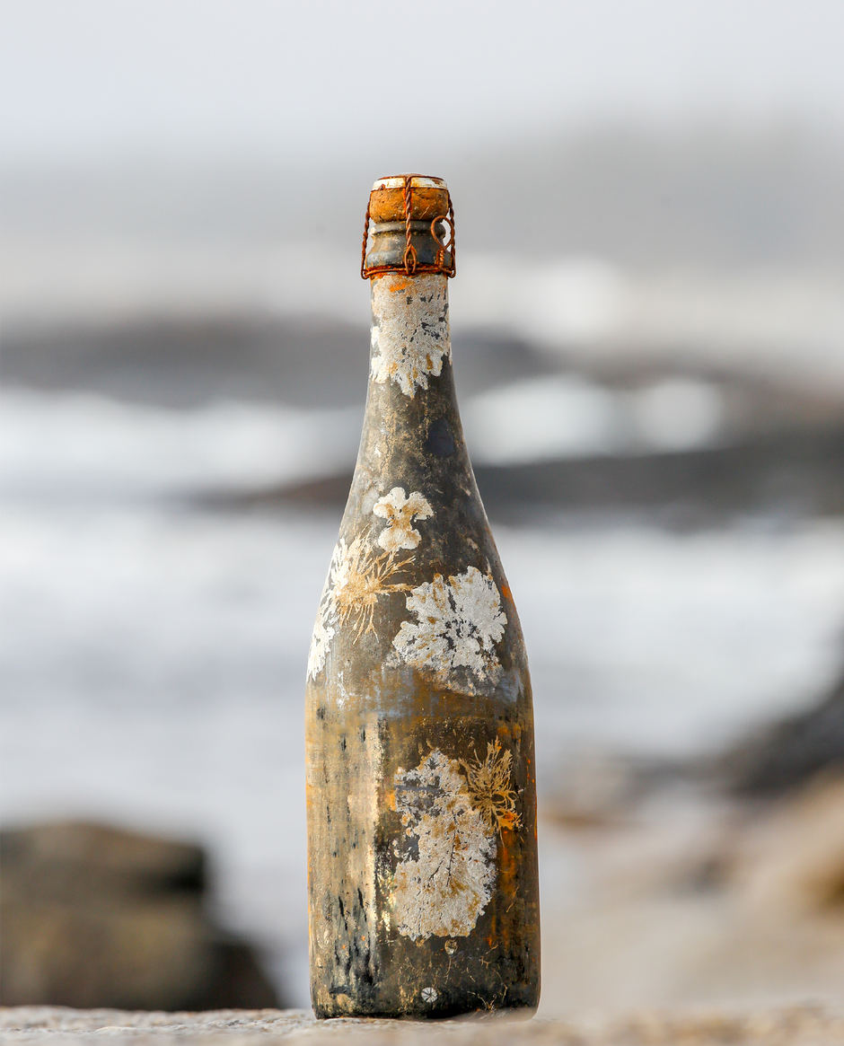 Benjamin Bridge | Nova Scotia's Sparkling Wine House