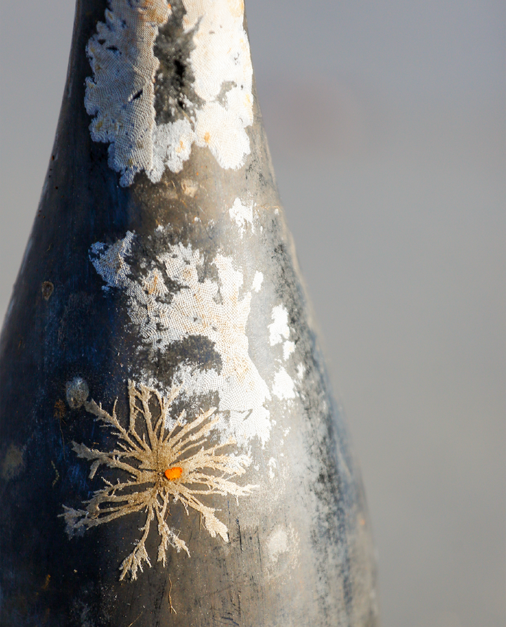 Benjamin Bridge | Nova Scotia's Sparkling Wine House